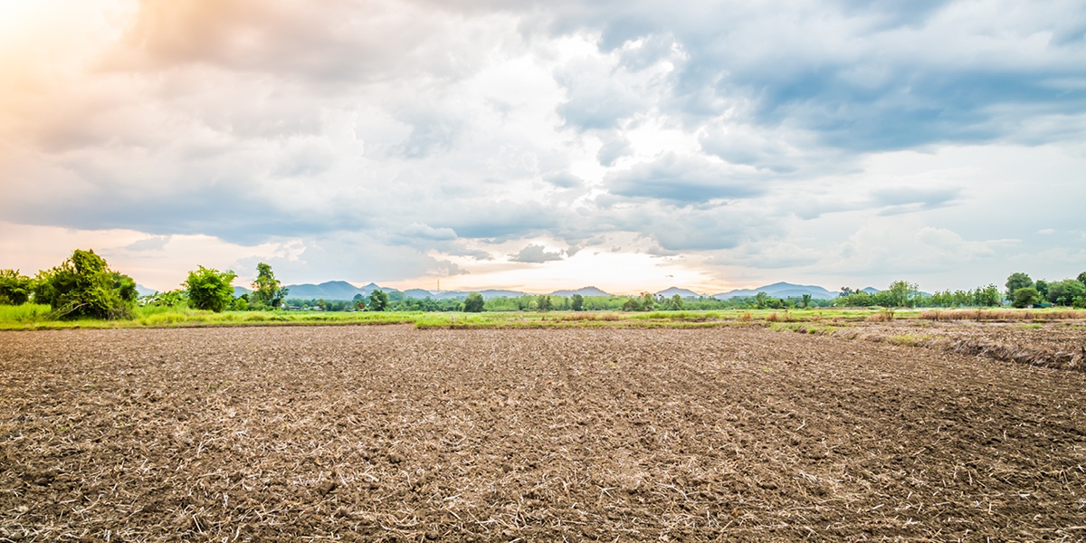 Bien choisir son terrain à bâtir - Maisons France Confort